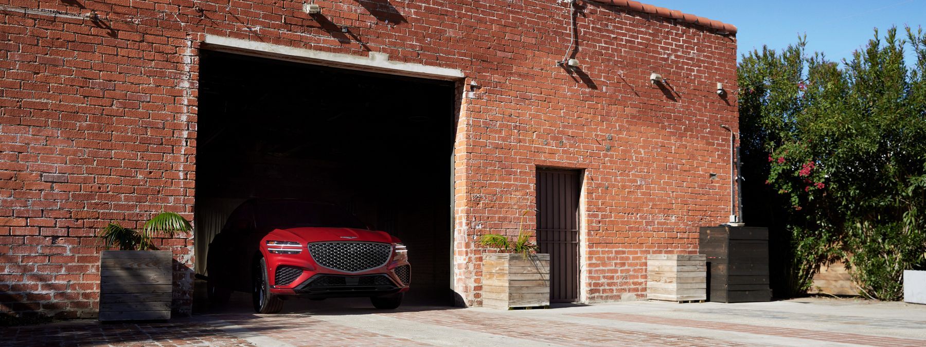 Best Genesis Vehicles for Your Dog | Genesis of Richmond