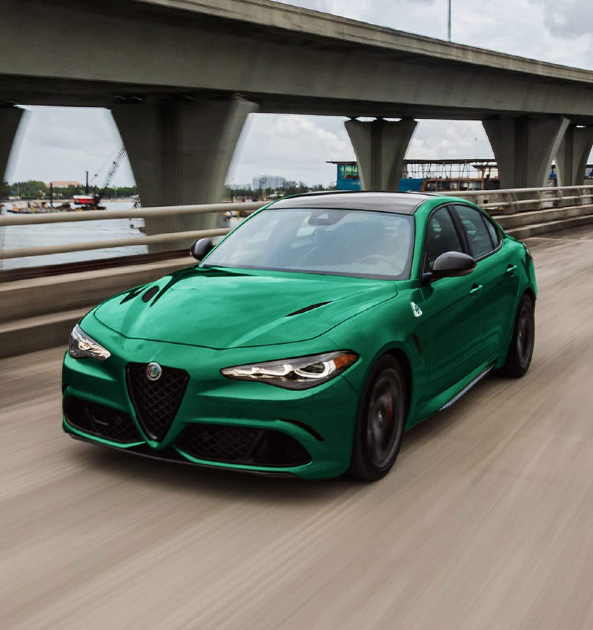 Alfa Romeo Dealer serving Tampa FL | Alfa Romeo St Petersburg